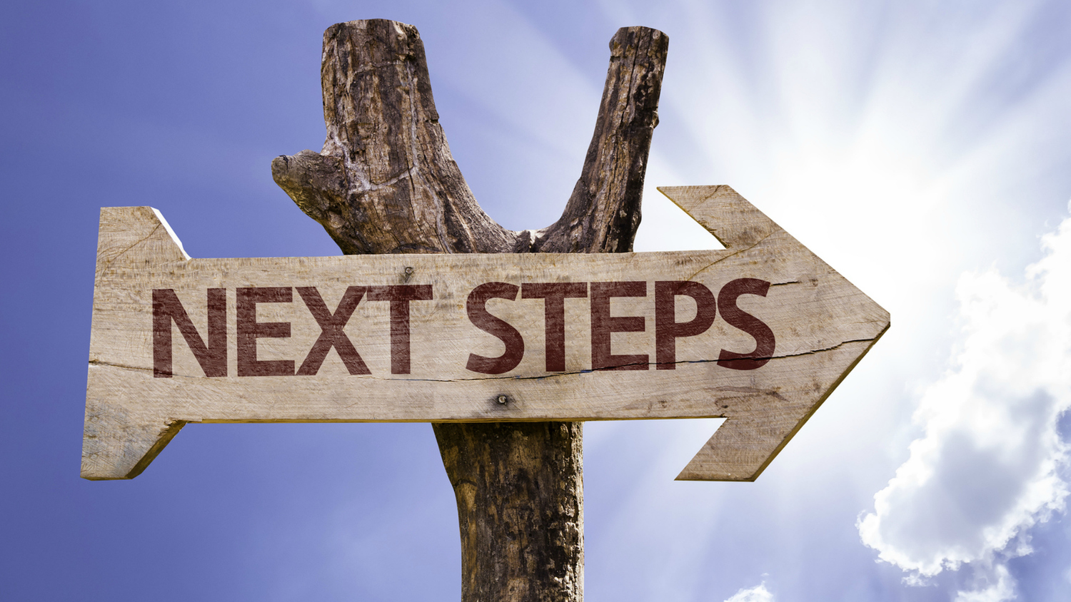 Next Steps - AM Service ⋆ Orchard Baptist Church