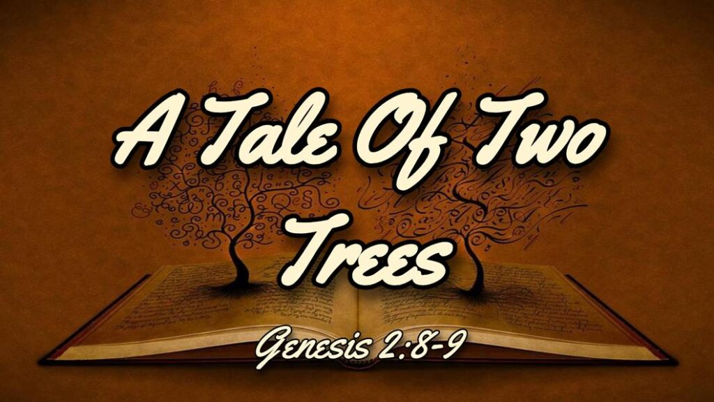 A Tale Of Two Trees ⋆ Orchard Baptist Church
